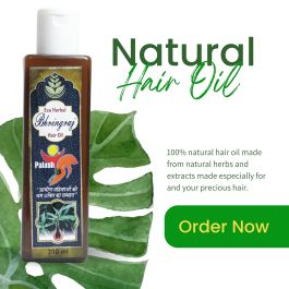 Palash Hair Oil Bhringraj 200ml