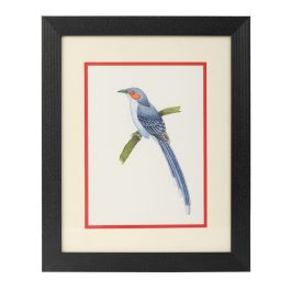 Miniature birds With Frame